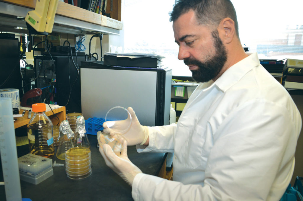 OMRF uncovers chromosome functions that could prevent, treat diseases ...